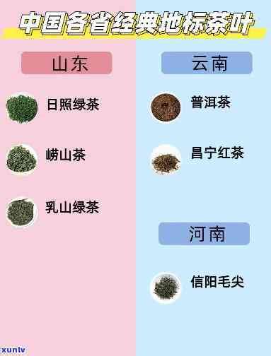 中国哪个省茶叶最出名探讨各地茶文化与知名 普洱茶 邮箱网