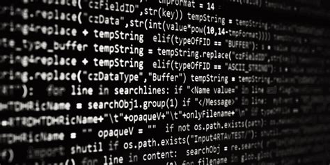 five cities five approaches to algorithms in government