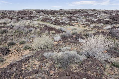 Aden Malpais Aden Malpais Southeast Of Aden Crater 3205 Flickr