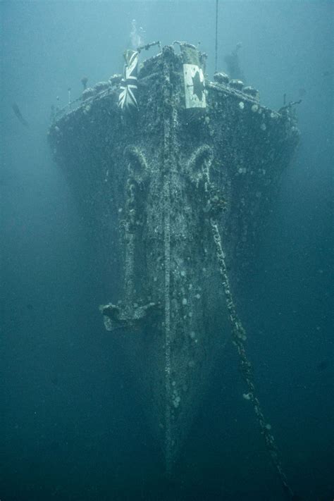 Matt Mandziuk On Linkedin Honing The Photographer Thing Underwater In
