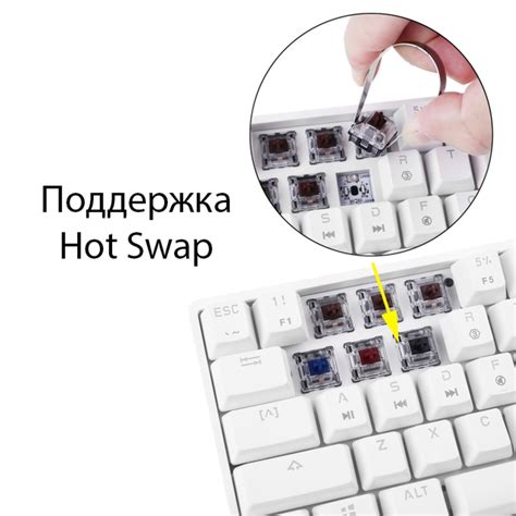 Клавиатура Skyloong GK61 SK61 Gateron Hot-Swap механическая с RGB ...