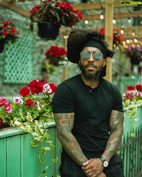 Stephen Voyce Wiki Biography Age Gallery Spouse And More