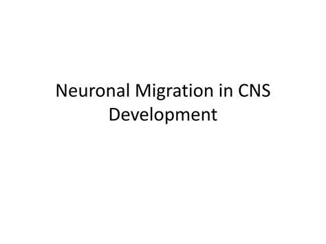 Ppt Neuronal Migration In Cns Development Powerpoint Presentation