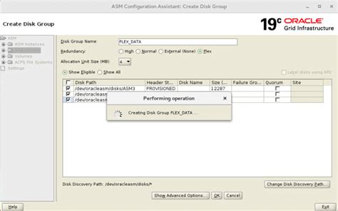 Asm Flex Disk Groups Quota Groups And Asm Split Mirror Cloning