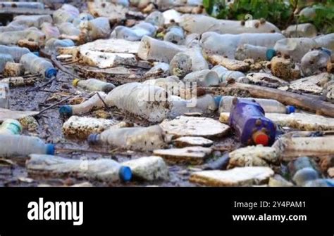 Impactful Image Of Plastic Waste Pollution In Nature Featuring