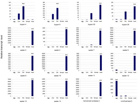 Confirmation Of Developmental Stage And Sex Specific Expression Of SP Download Scientific