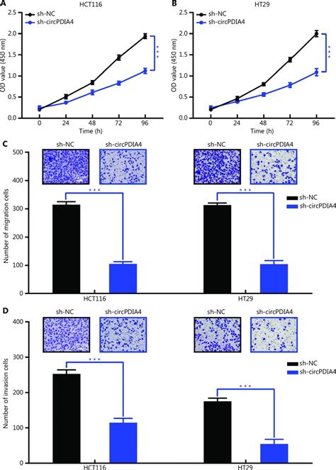 Amplifying Colorectal Cancer Progression Impact Of A Pdia4sp1