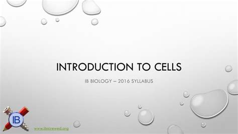 Origin Of Cells Pdf