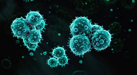 The Quantum Advantage Zapata Ai Generates Viable Cancer Drug