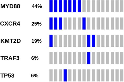 Somatic Mutations Revealed By Targeted Next‐generation Sequencing In 16 Download Scientific