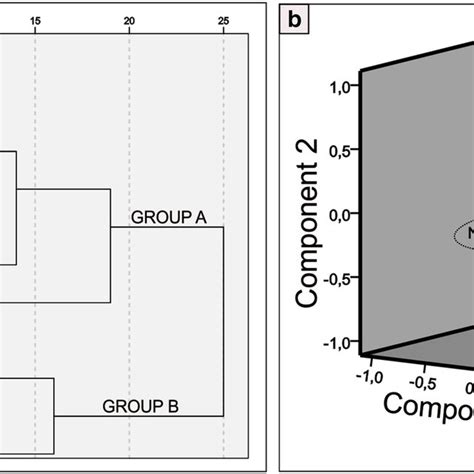 A Cluster Analysis In R Mode Between Chemical Variables B Factorial