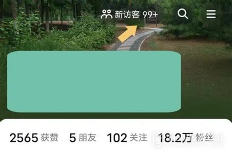 抖音如何查看訪客記錄抖音怎麼查看瀏覽過自己作品的人 手機貓