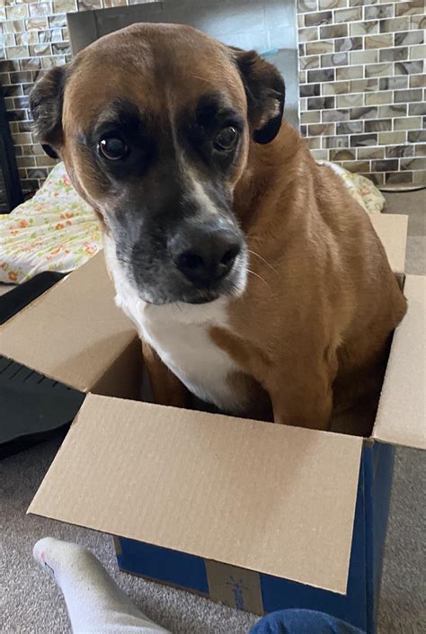 My Package Came R Aww