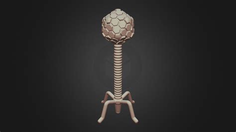 Bacteriophage Lambda 3d Printable 3d Model By Taylorcustom D443279