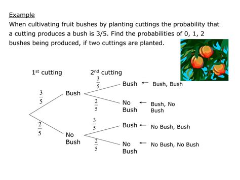 PPT Probability Tree Diagrams PowerPoint Presentation Free Download ID