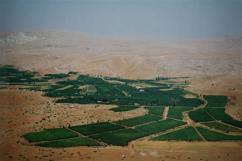 trade with israeli settlements dutch ministry ignores internal