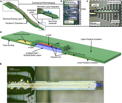 Frontiers High Density Double Sided Flexible Optoelectronic Neural Probes With Embedded μleds