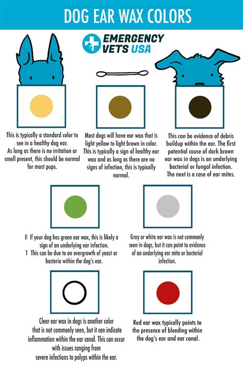 Earwax Color Chart What Colour Should Earwax Be Earwax Colour Chart