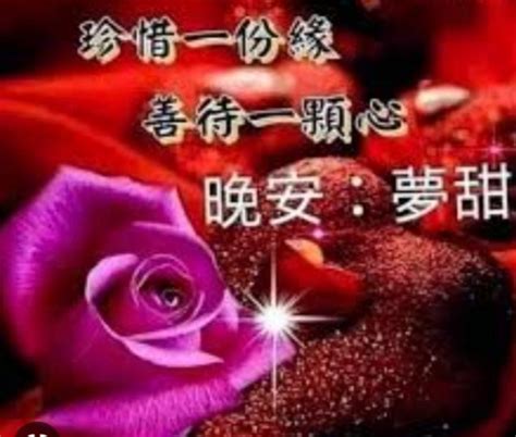 朋友們 晚安， 夢圓夢甜！ E123長青網 長者服務及老人院資訊