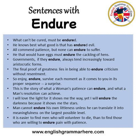 Sentences With Endure Endure In A Sentence In English Sentences For