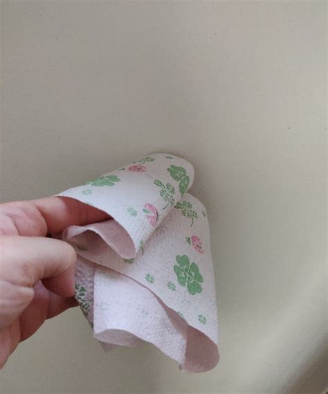 【シングル？ダブル？】トイレットペーパーはどっちを選べばいいのか雑検証した 転んでもただでは起きない日常
