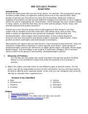BIO 112 Lab 3 Exploring The Diversity Of Protists Course Hero