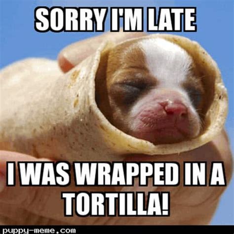 35 Best Happy Belated Birthday Memes SayingImages