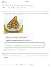Lab Chapter Chapter Course Hero