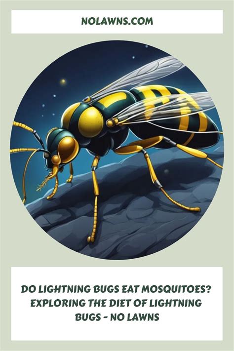 Do Lightning Bugs Eat Mosquitoes Exploring The Diet Of Lightning Bugs