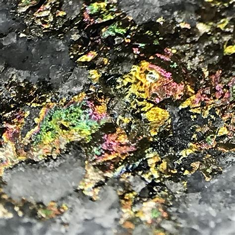 E Rocks Mineral Auctions