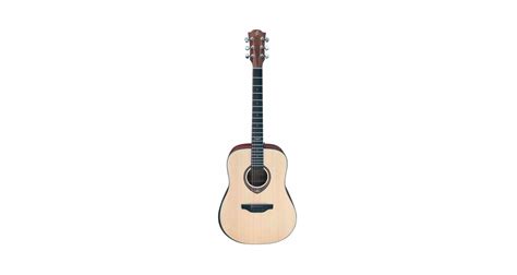 Flight AD-555 NA Chitara acustica - Zeedo Shop
