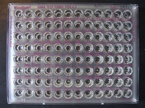 Microscan Plate Microscan Microbroth Dilution Plate For An… Flickr