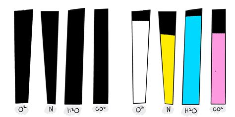 Find Your New Home By Julia Borkowski