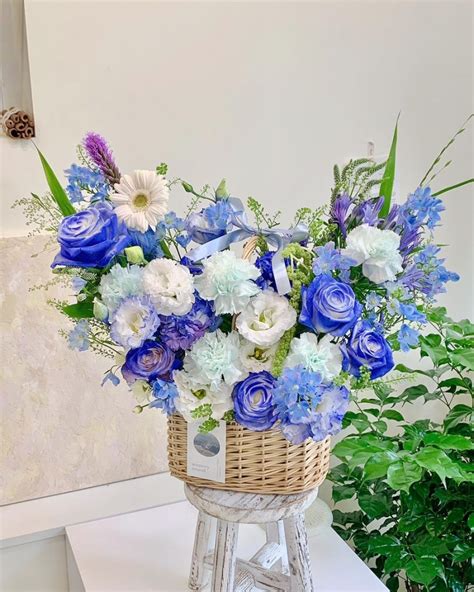 부산 사직동 꽃집 사직 꽃집 미남 꽃집 거제 꽃집 동래 꽃집 윈터리 플라워 꽃다발 꽃바구니 네이버 블로그