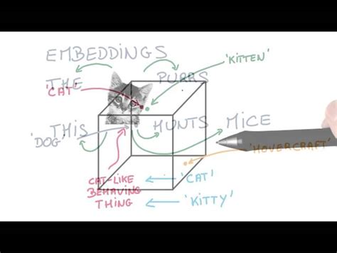 What Is Joint Embedding Ai Basics Ai Online Course