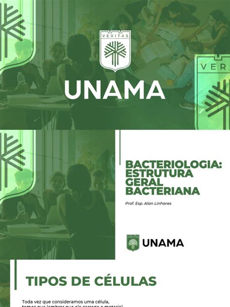 Aula 7 Bacteriologia Estrutura Geral Das Bactérias Pdf