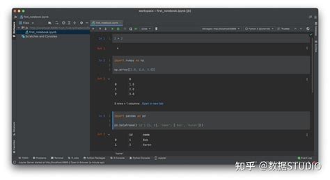Jupyter Notebook Dataspell