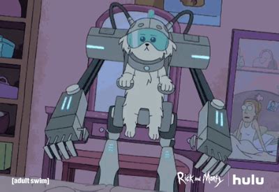 Discover The Hilarious World Of Rick And Morty Rick And Morty Summer