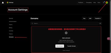 你的常用域名被其他vercel账号使用的解决方法 邢平cns Blog