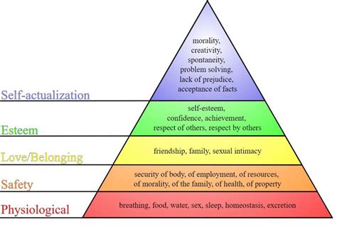 A Guide To The 5 Levels Of Consciousness David Daniel Books