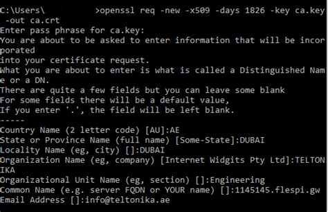 creating self signed ca certificates and keys using openssl teltonika