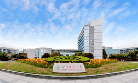 关于四川农业大学2023年上半年成人高等教育本科学士学位英语（“在籍生”批次）在线考试的通知 知乎