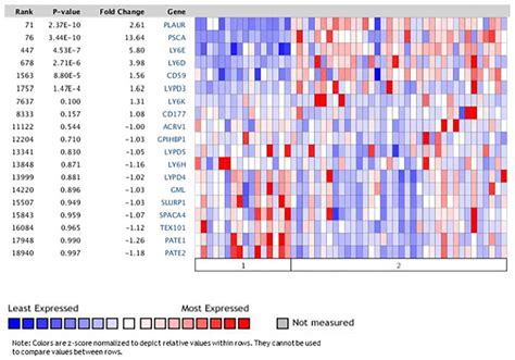 Oncomine Tool Showed Significant Increase Expression Of Ly6 Genes In