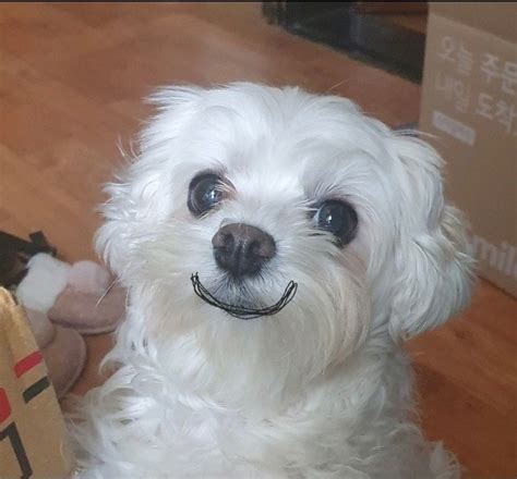 다른 사람들이 안 알려주는 리액트에서 Context Api 잘 쓰는 방법