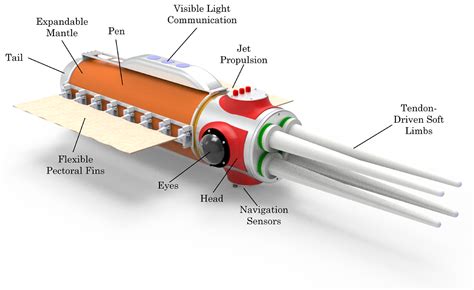 the design and kinematic representation of a soft robot in a simulation
