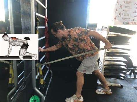 Dicas De Exercícios Para Tríceps Impressionantes Suplementos Brasil
