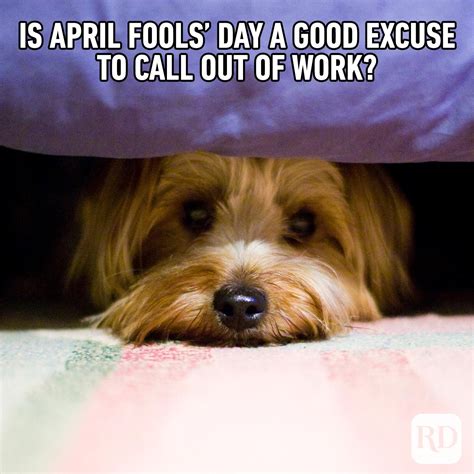 April Fools Day Meme Những Màn Trò Đùa Hài Hước Đầy Sáng Tạo Thủ