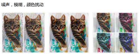 深度学习笔记 增加网络不变性的方法（对空间变换网络和数据增强的方法进行了总结）刚性运动和非刚性运动 Csdn博客