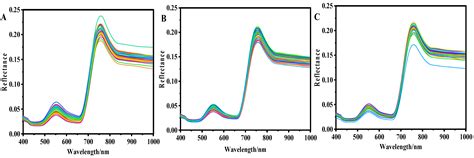 rapid nondestructive detection of chlorophyll content in muskmelon