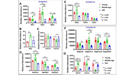 Altered Age Specific Expression Of Mitochondrial Complexes I Ii And